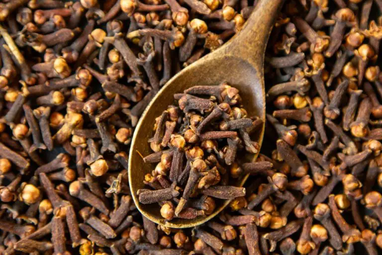 What Does Clove Smell Like? - Know Real Smell