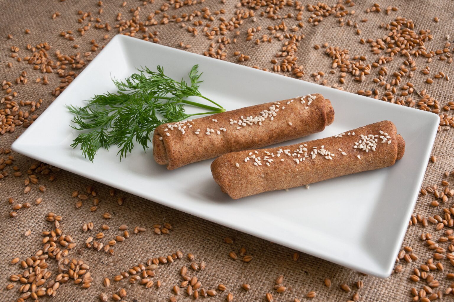 What Does Squirrel Taste Like - All About Squirrel Meat