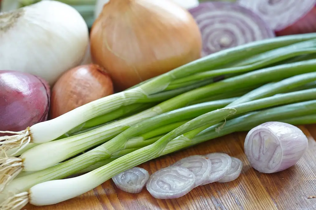 Chives Vs Green Onions - You'll Be Surprised To Know The Difference